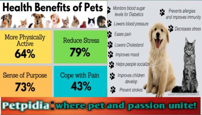 Health Benefits of Owning a Pet Statistics