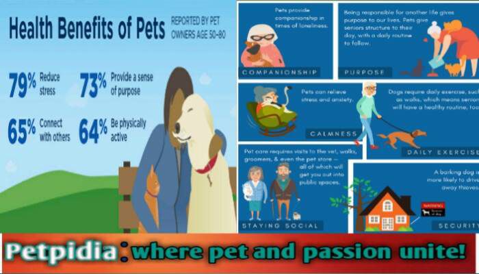 Health Benefits of Owning a Pet Statistics