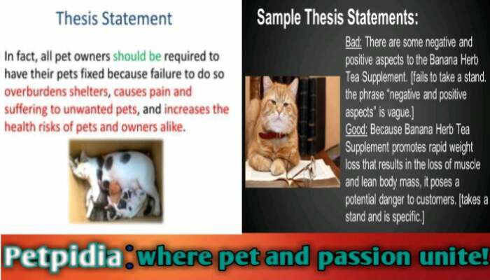 Benefits of Owning a Pet Thesis Statement