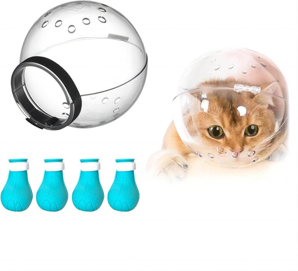 The Best Cat Head Bubble for Grooming