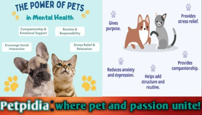 100 Reasons to Get a Dog | Why Adding A Dog To Your Life