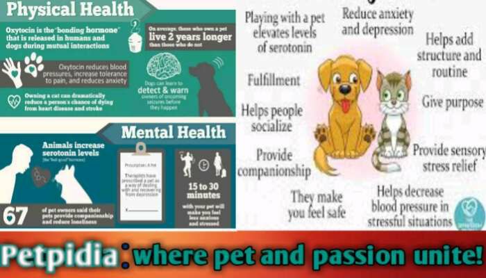 Positive Effects Of Pet Ownership On Human Health
