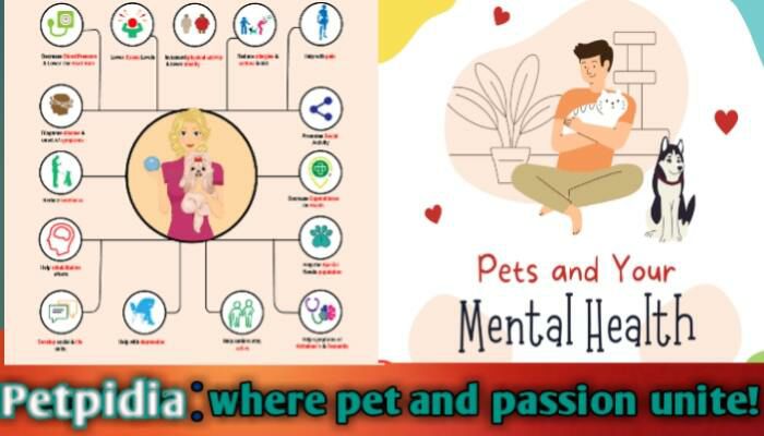 Positive Effects Of Pet Ownership On Human Health