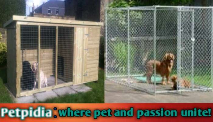 Perfect 6x10 Dog Kennel Panel With Door Heavy Duty