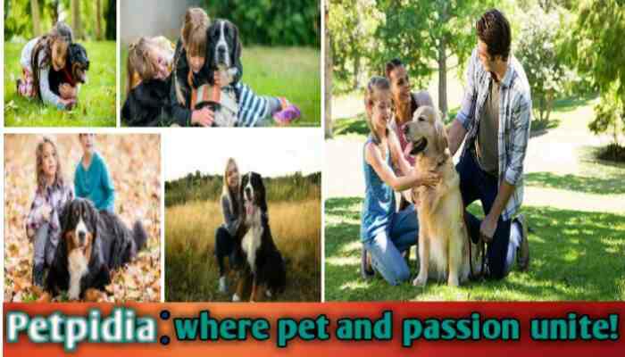 100 Reasons Why Dogs Are The Best Pets